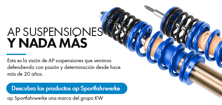 apsuspension.es
